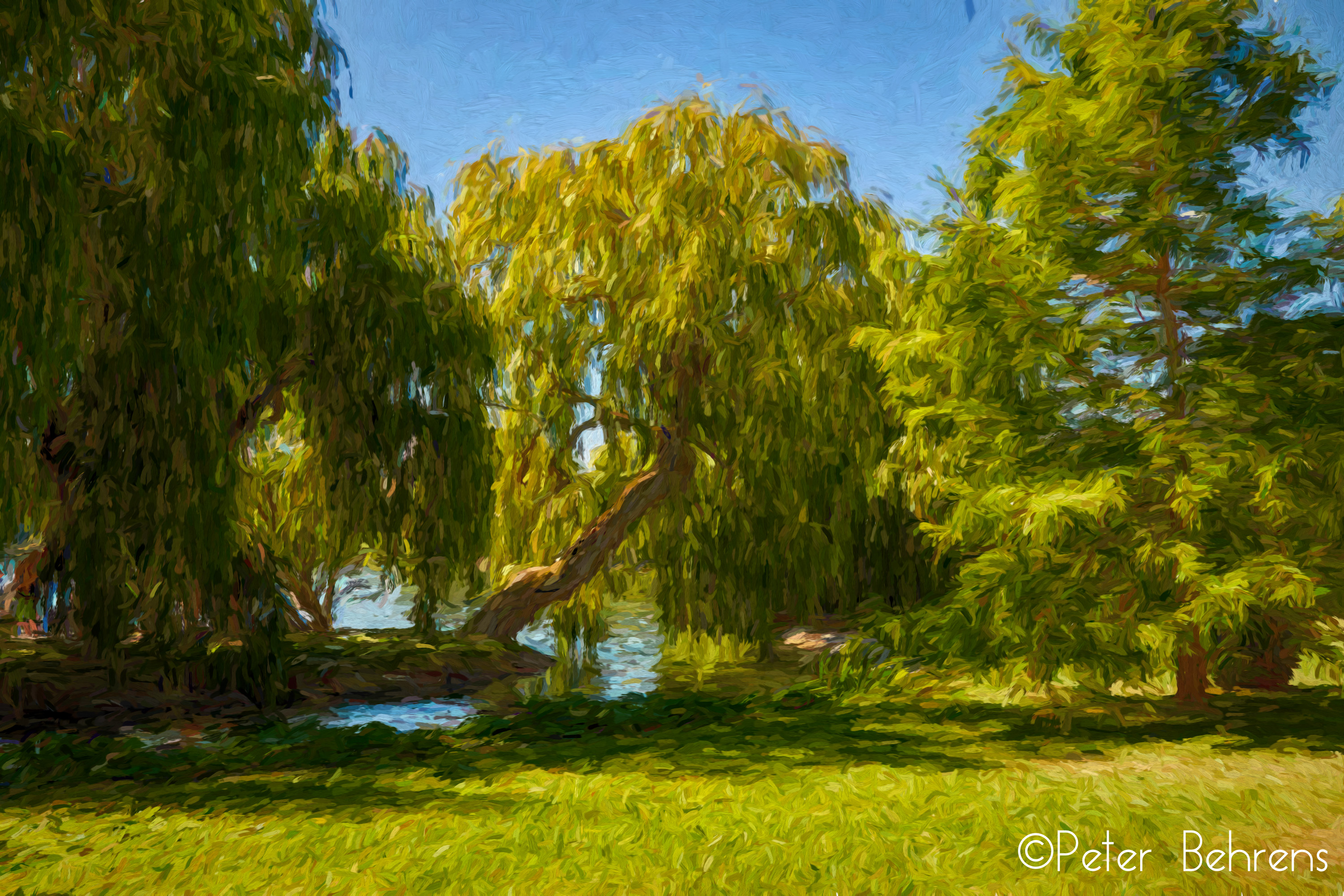 Park by the lake - Scenery and Architecture - Topaz Community